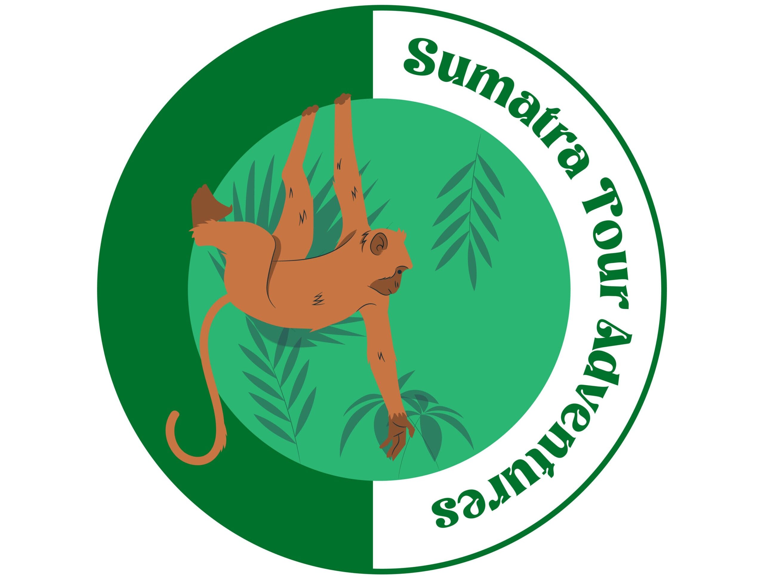 Sumatra Tour Adventures | Orangutan Trekking | Bukit Lawang